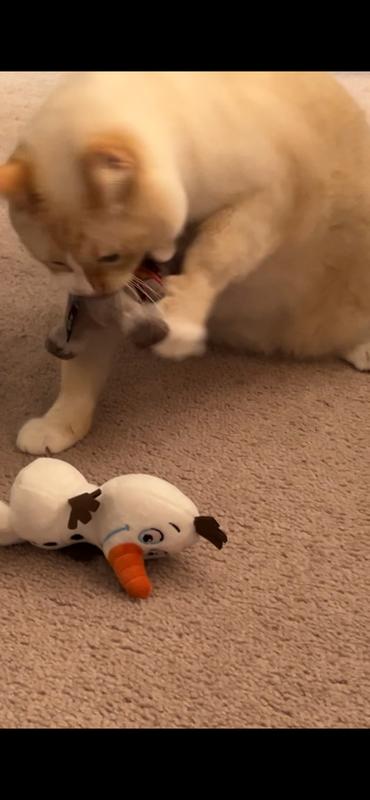 Out of Stock - DISNEY Frozen's Olaf & Sven Plush Cat Toy with Catnip, 2 ...