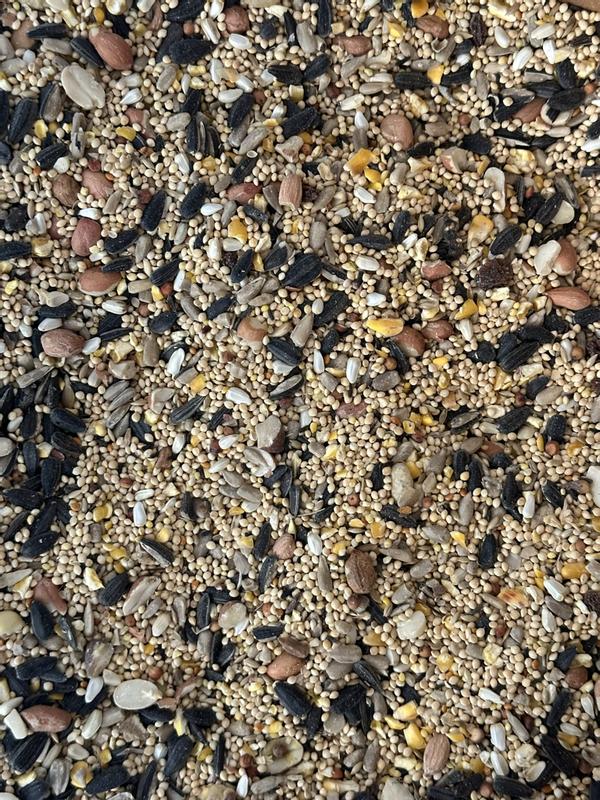 WAGNER'S Greatest Variety Wild Bird Food, 16-lb bag - Chewy.com