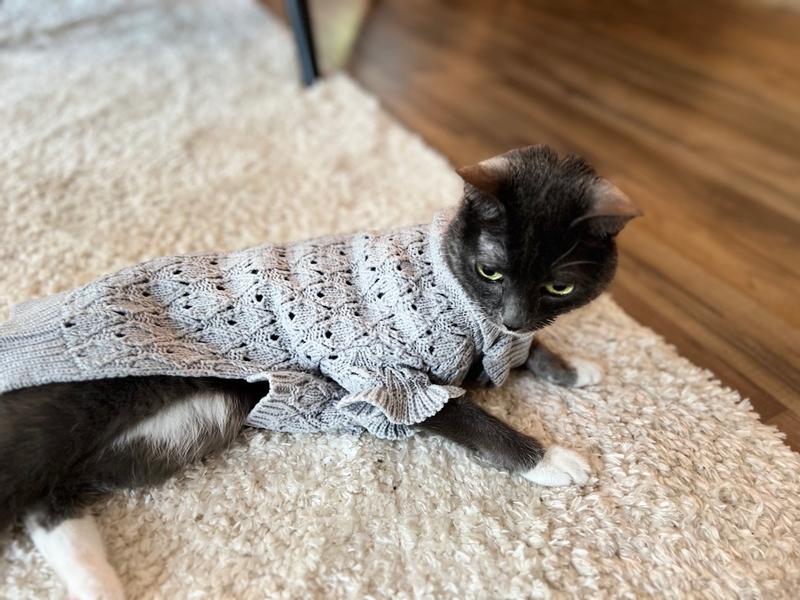 FRISCO Ruffle Knit Pointelle Dog & Cat Turtleneck Sweater, Gray, X ...