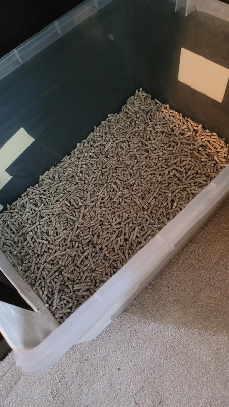 FRISCO Fresh Scented Non-Clumping Recycled Paper Cat Litter, 25-lb bag ...