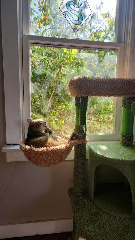 YAHEETECH Cactus 42-in Plush Cat Tree - Chewy.com