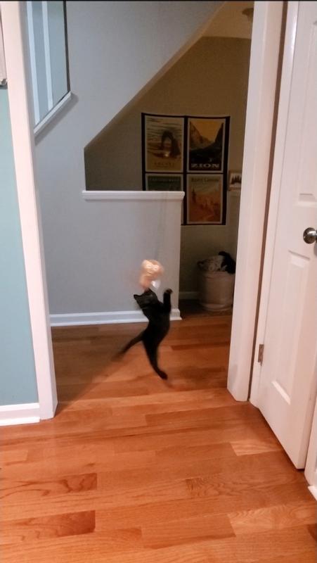 MEOWIJUANA Jump 'n' Jamb Get the Monkey Off Your Back Refillable ...