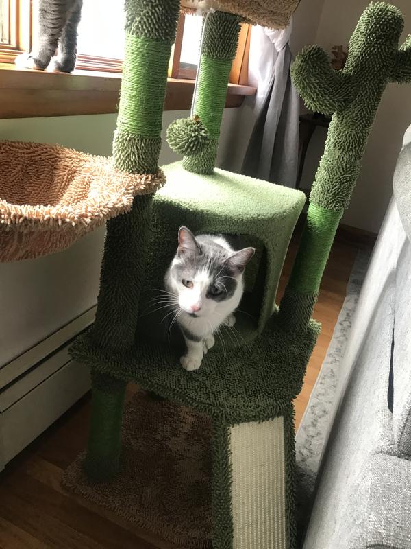 YAHEETECH Cactus 42-in Plush Cat Tree - Chewy.com