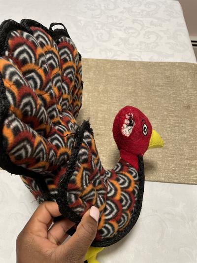 TUFFY'S Barnyard Turkey Squeaky Plush Dog Toy - Chewy.com