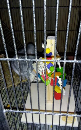 OXBOW Play Post Small Animal Toy - Chewy.com