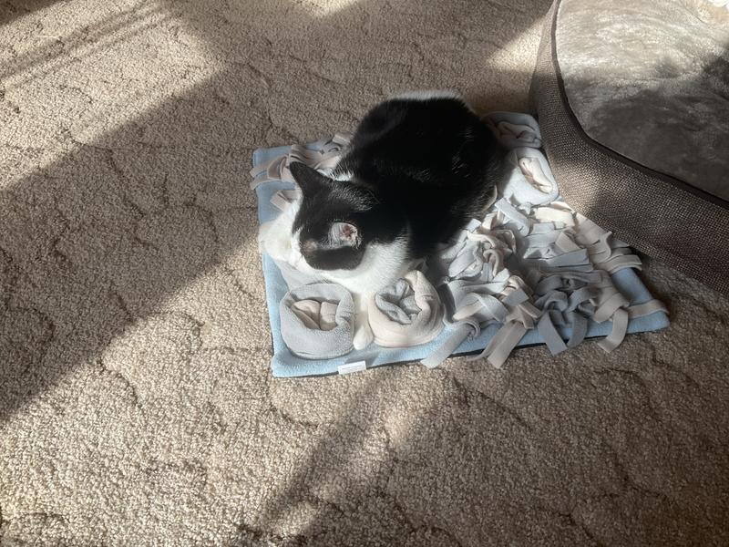 Temporarily Unavailable - FRISCO Piggy Snuffle Activity Mat, Grey ...