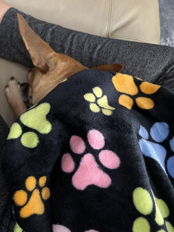 ETHICAL PET Snuggler Patterned Dog Blanket, Gray, 40-in - Chewy.com