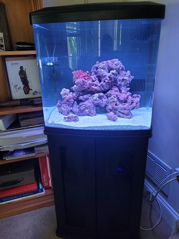 CORALIFE LED BioCube Aquarium Kit, 16-gal - Chewy.com