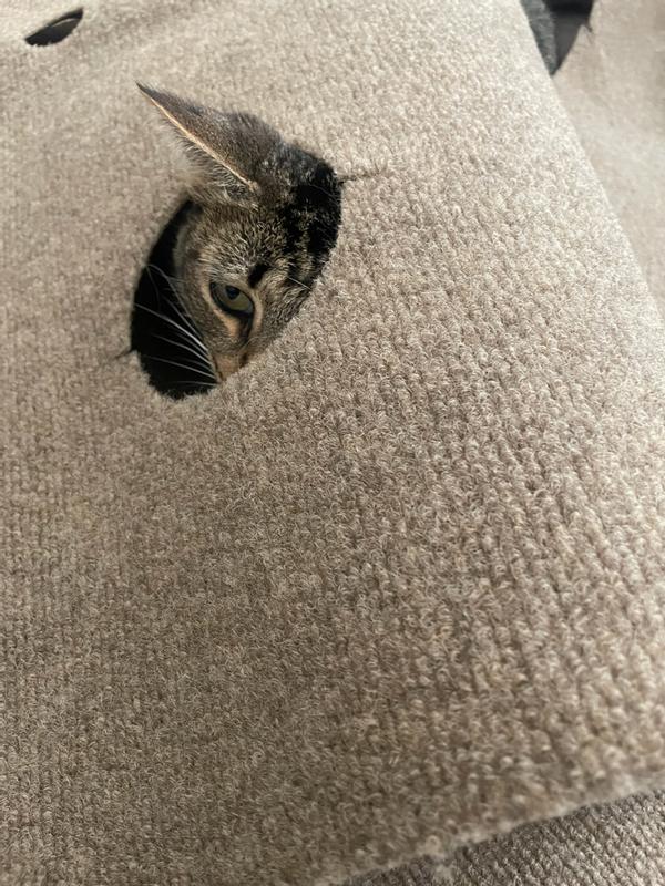 SNUGGLYCAT Ripple Rug Cat Activity Play Mat - Chewy.com