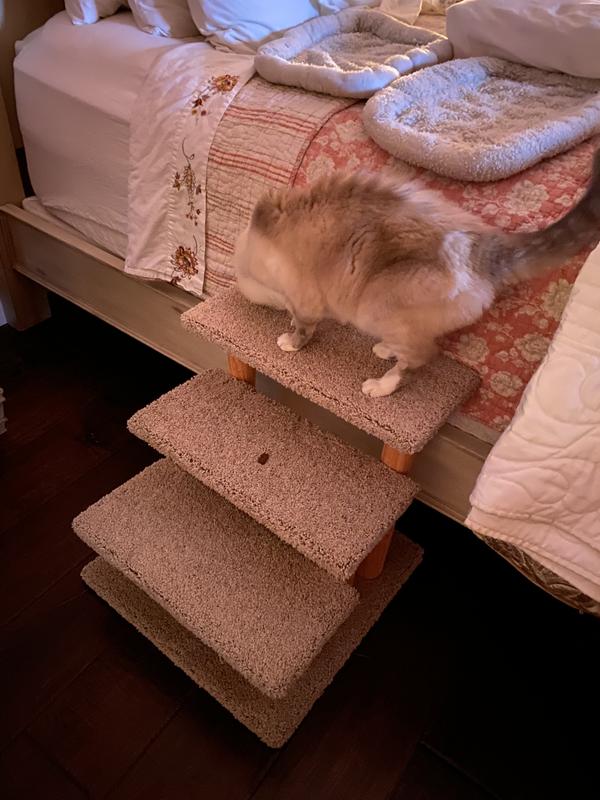FRISCO 20-in 3-Step Real Carpet Wooden Cat Steps, Beige - Chewy.com
