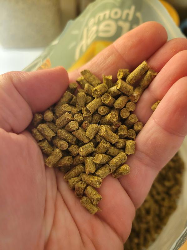 KENT / BLUE SEAL Home Fresh Pro Hutch 16 Pellet Rabbit Food, 25-lb bag ...