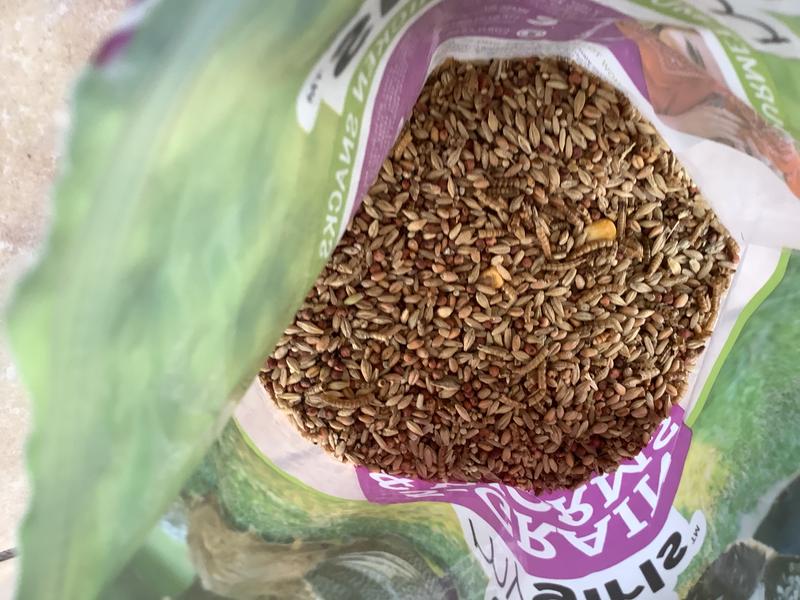 LOVE MY GIRLS 5-Grain & Worms Corn-Free Gourmet Chicken Treats, 5-lb ...