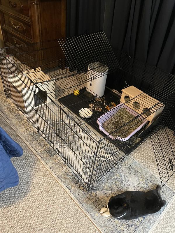 FRISCO Portable Outdoor Small Pet Cage (with cover) - Chewy.com