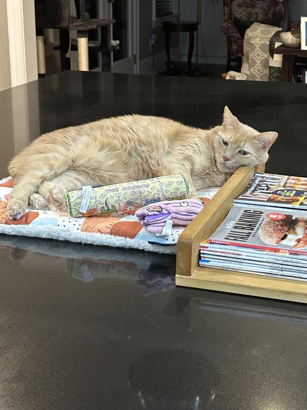 FRISCO Reversible Square Cat Pad, Calico Cat - Chewy.com