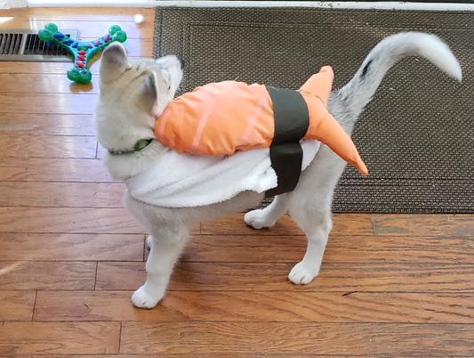 RUBIE'S COSTUME COMPANY Sushi Dog & Cat Costume, Small - Chewy.com