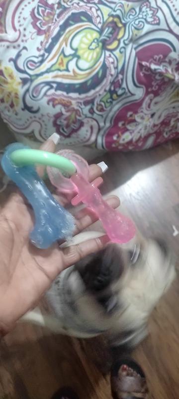 NYLABONE Puppy Pacifier Teething Toy Chew Teething Pacifier Bacon ...