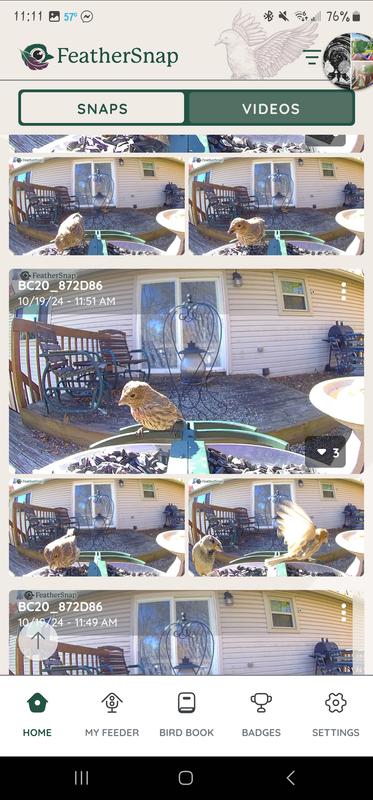 FEATHERSNAP Scout Wi-Fi Solar Powered Camera Smart Bird Feeder, Clear ...