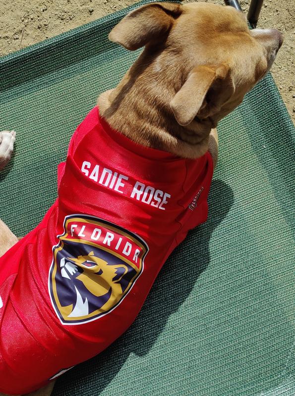 LITTLEARTH NHL Personalized Stretch Dog & Cat Jersey, Washington ...