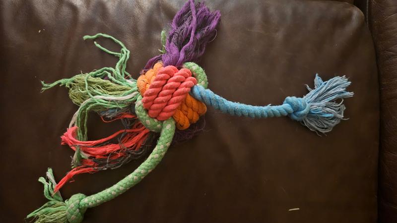 FRISCO Fetch Colorful Ball Knot Rope Dog Toy, Medium/Large - Chewy.com