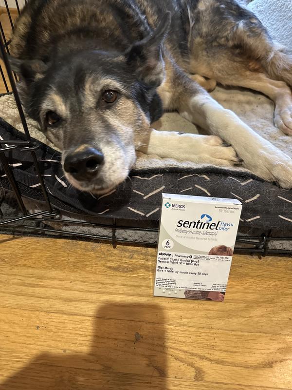 SENTINEL Tablet for Dogs, 51-100 lbs, (White Box) - Easy Refills | Chewy Rx
