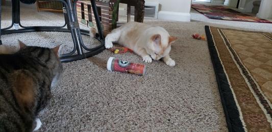 MEOWIJUANA Paw Natural OG Catnip, 26-gram bottle - Chewy.com