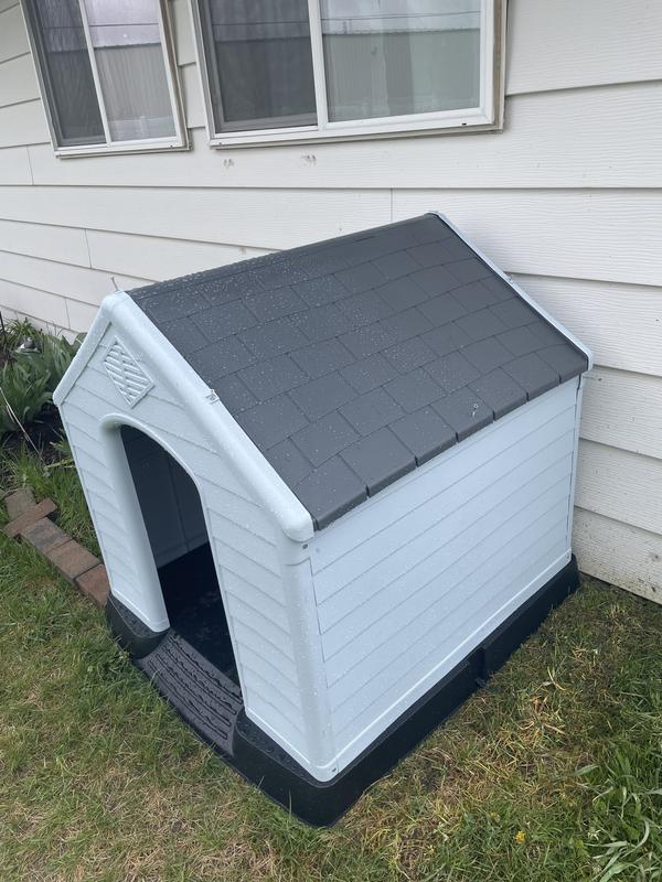 FRISCO Plastic Outdoor Dog House with Elevated Platform, Large - Chewy.com