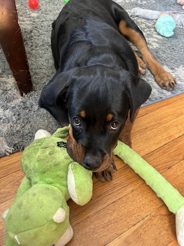 GODOG Crazy Tugs Monkey Chew Guard Dog Toy, Lime, Large - Chewy.com