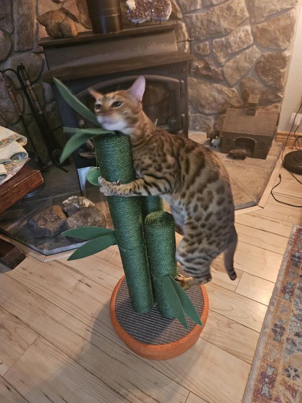 FRISCO Lucky Bamboo 35.5" Cat Scratching Posts with Toys - Chewy.com