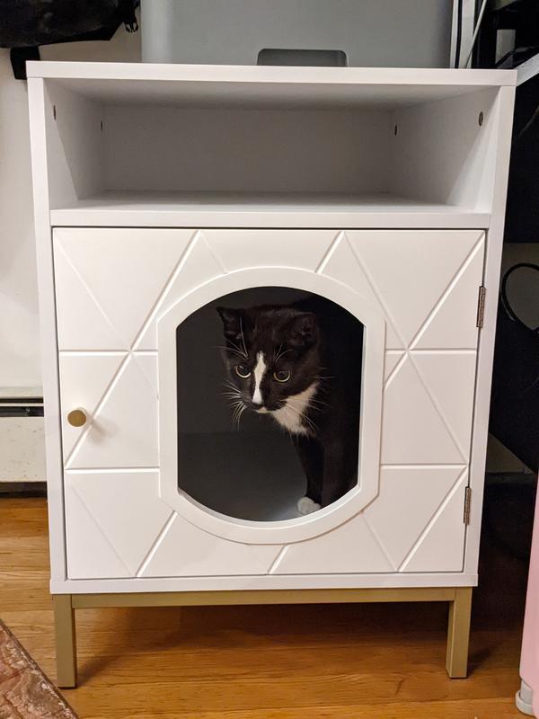 FRISCO Elevated Side Table Litter Box Cover - Chewy.com