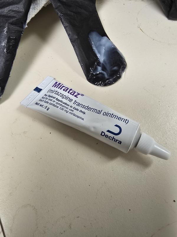 MIRATAZ (mirtazapine transdermal ointment) for Cats, 5-g tube - Chewy.com