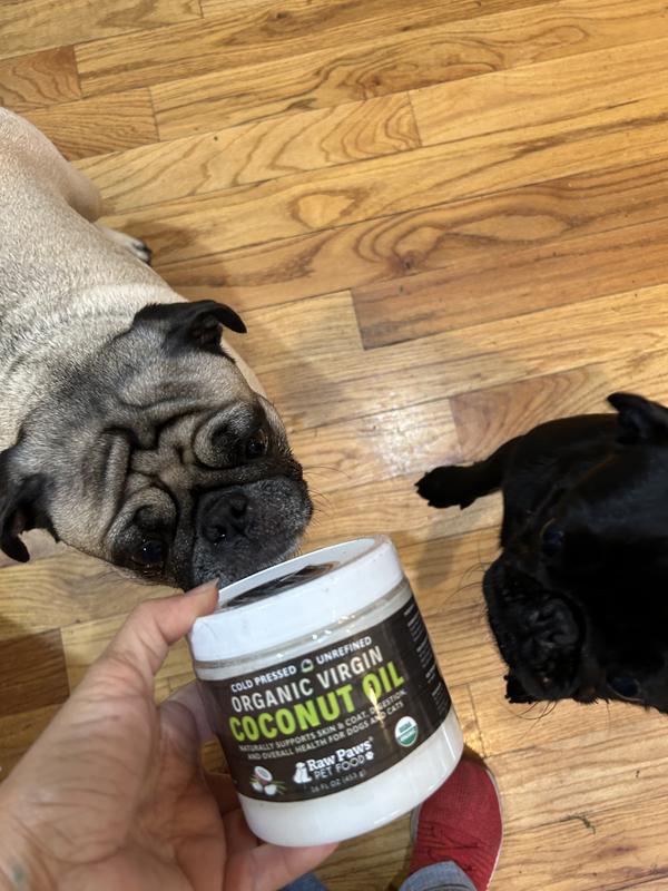 RAW PAWS Organic Virgin Coconut Oil for Dogs & Cats, Skin & Coat ...