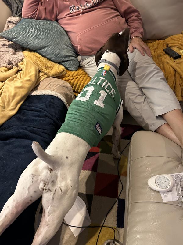 PETS FIRST NBA Dog & Cat Mesh Jersey, Boston Celtics, Medium - Chewy.com