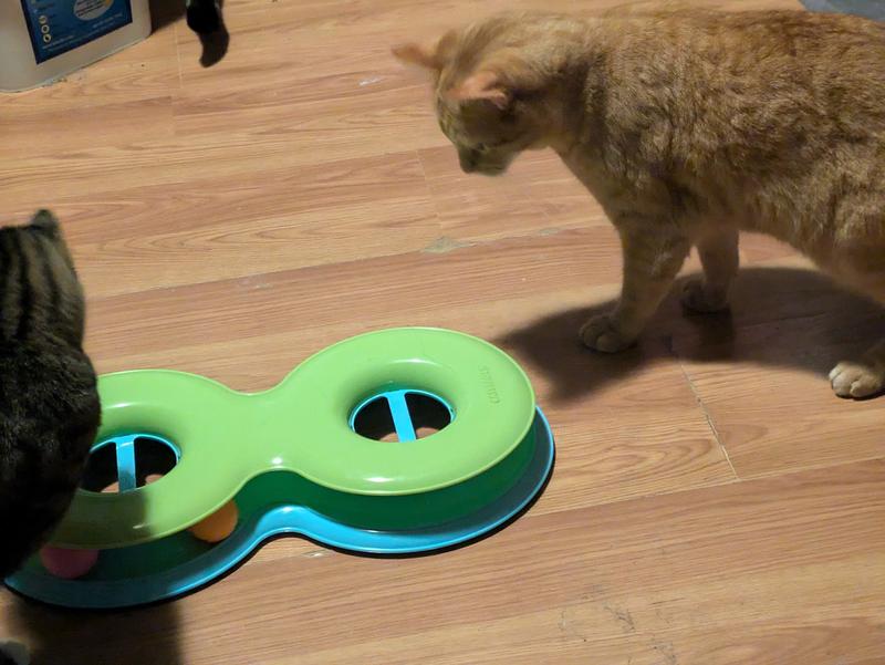 CATSTAGES Infinity Ball Track Including One Light-Up Ball, Figure-8 ...