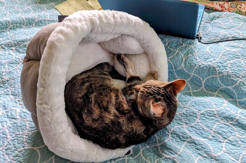 BEST FRIENDS BY SHERI Cuddle Cup Cuddler Bolster Cat & Dog Bed, Tide ...