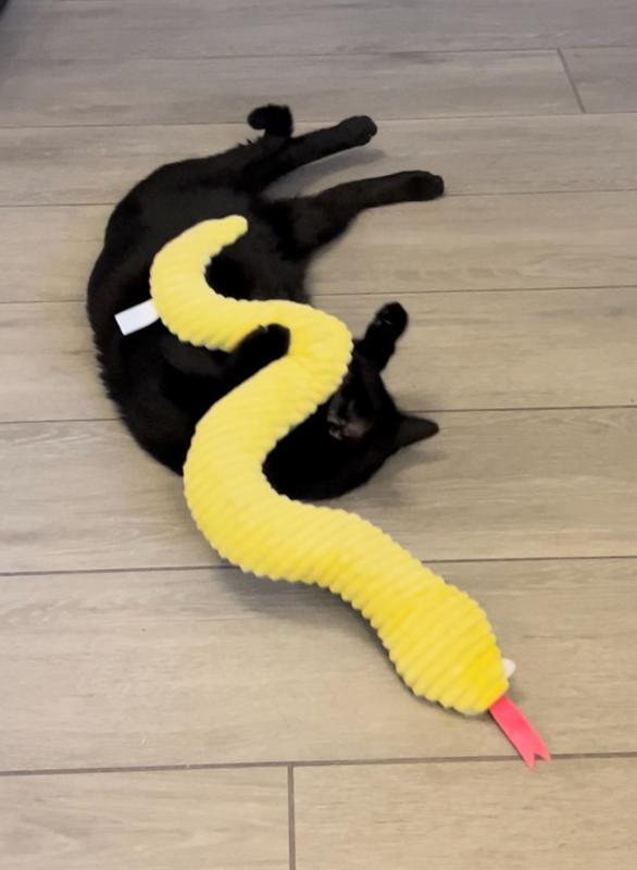 BARK Steve Squeaky Plush Snake Dog Toy, Green - Chewy.com