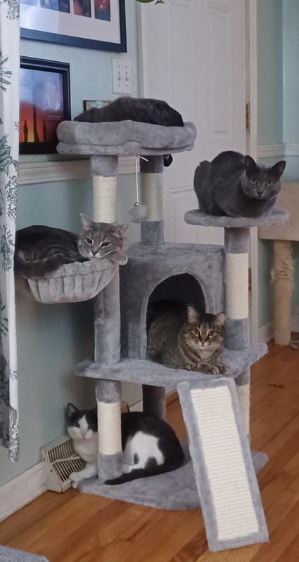 YAHEETECH Professional 42-in Cat Tree, Dark Gray - Chewy.com