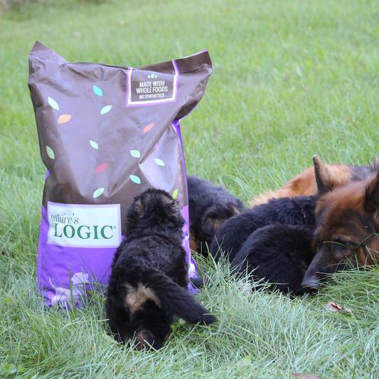 NATURE'S LOGIC Canine Rabbit Meal Feast All Life Stages Dry Dog Food ...