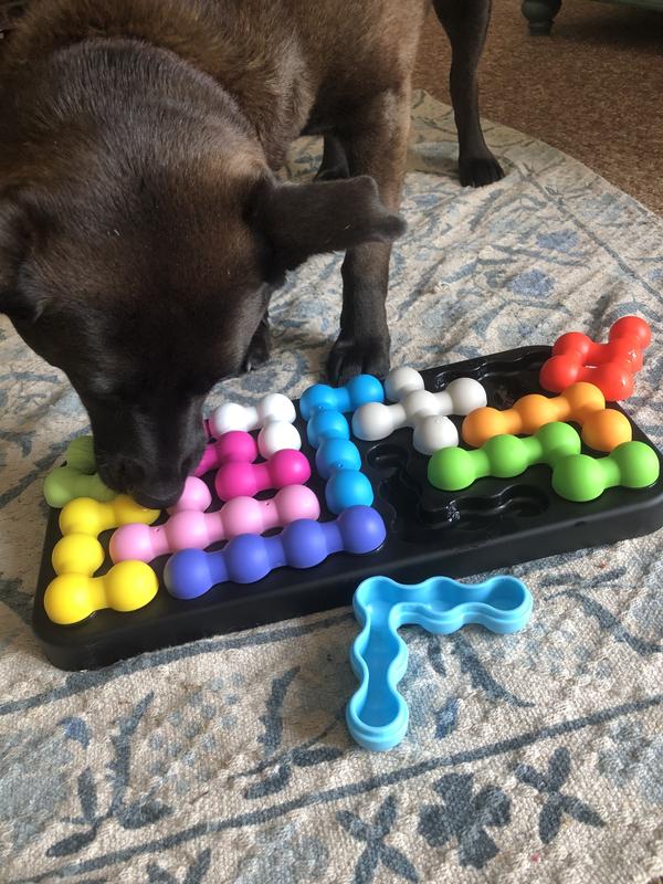 BRIGHTKINS Kanoodle Puzzle Dog Toy, Small - Chewy.com