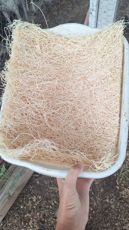 EATON PET & PASTURE USA Grown & Sustainably Harvested Bird Nesting Pad ...