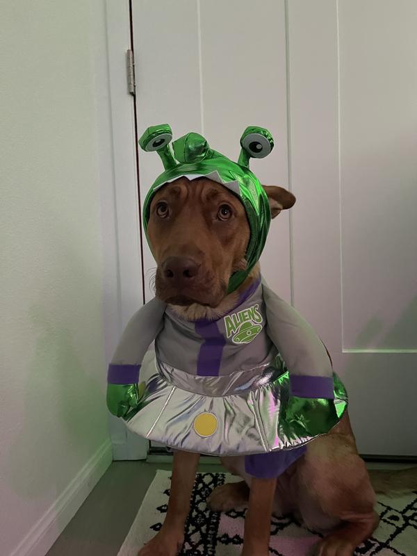 FRISCO Front Walking Alien Dog & Cat Costume, Small - Chewy.com