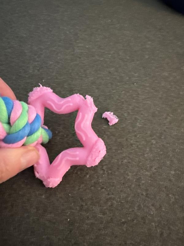 FRISCO Small Breed Puppies Rope & TPR Variety Pack Puppy Toy, 18 count ...