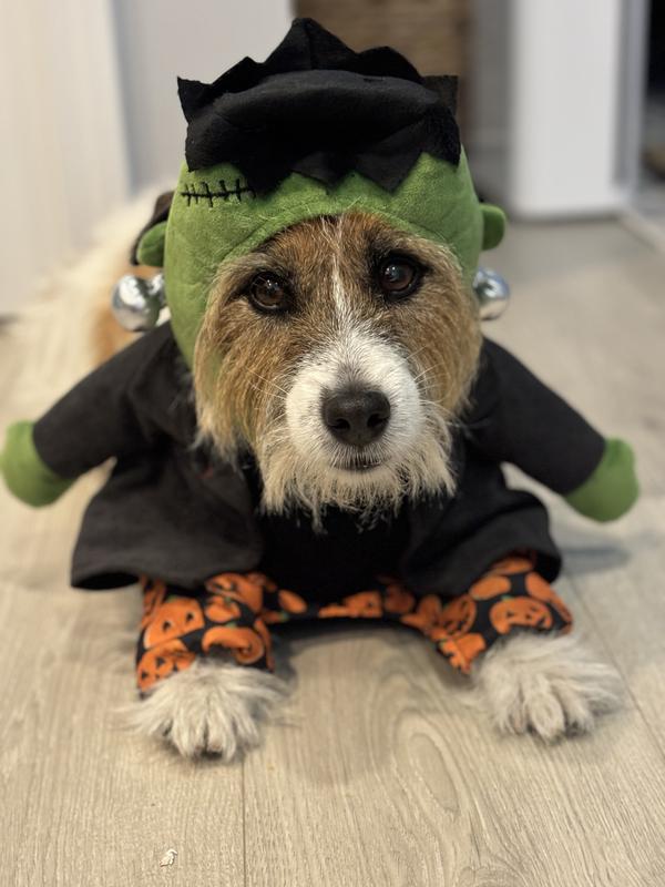 FRISCO Front Walking Reanimated Monster with Adjustable Inseam Dog ...