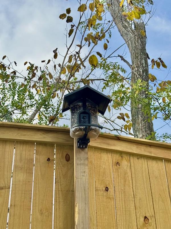 FEATHERSNAP Scout Wi-Fi Solar Powered Camera Smart Bird Feeder, Clear ...