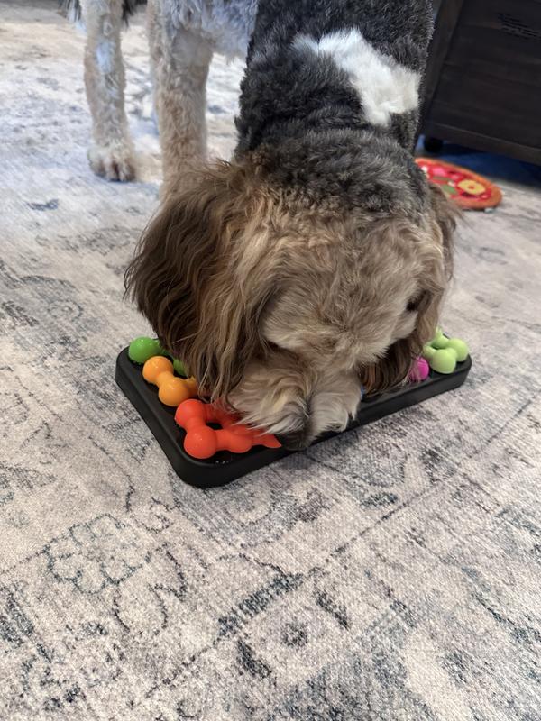 BRIGHTKINS Kanoodle Puzzle Dog Toy, Small - Chewy.com