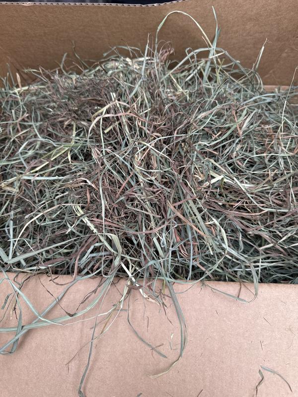 SMALL PET SELECT Orchard Grass Hay Small Animal Food, 20-lb box - Chewy.com