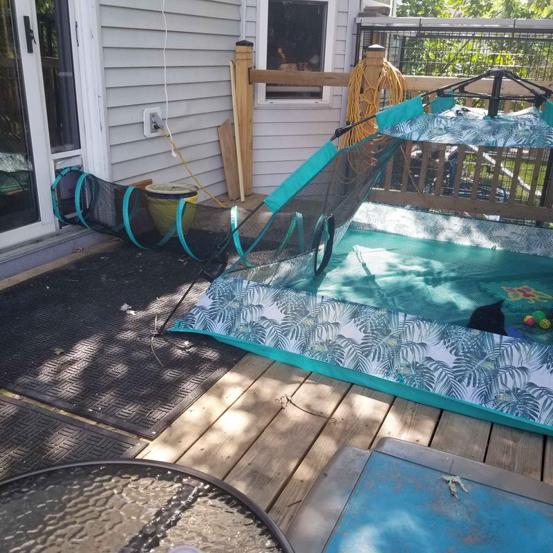 FRISCO Mesh Outdoor Pop-up Cat Playpen Tent & Tunnel, Leaf, 71-in L x ...