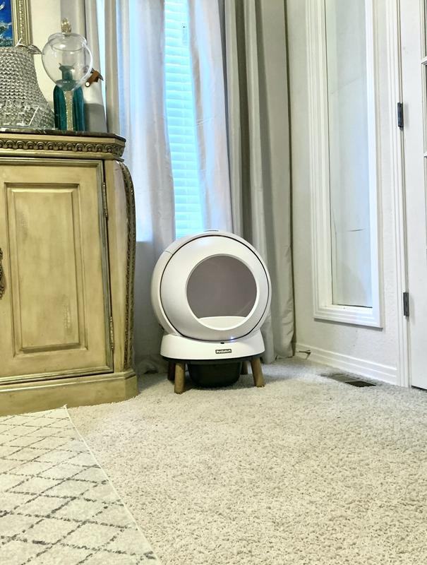 PETSAFE ScoopFree SmartSpin Self-Cleaning Cat Litter Box - Chewy.com
