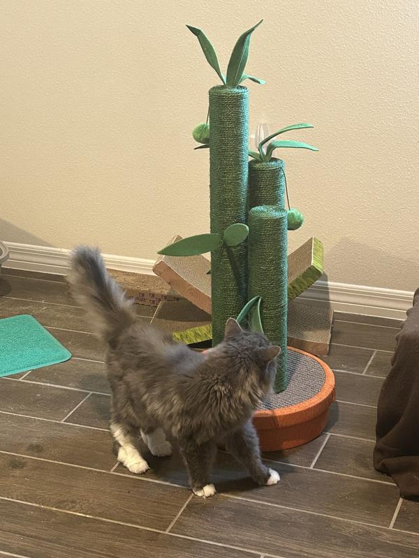 FRISCO Lucky Bamboo 35.5" Cat Scratching Posts with Toys - Chewy.com