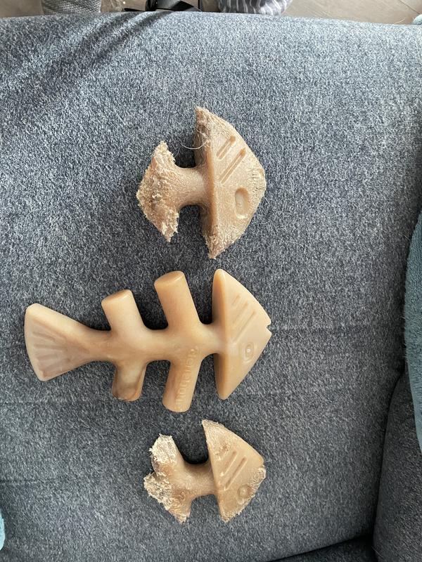 BENEBONE Fishbone Dog Chew Toy, Medium - Chewy.com