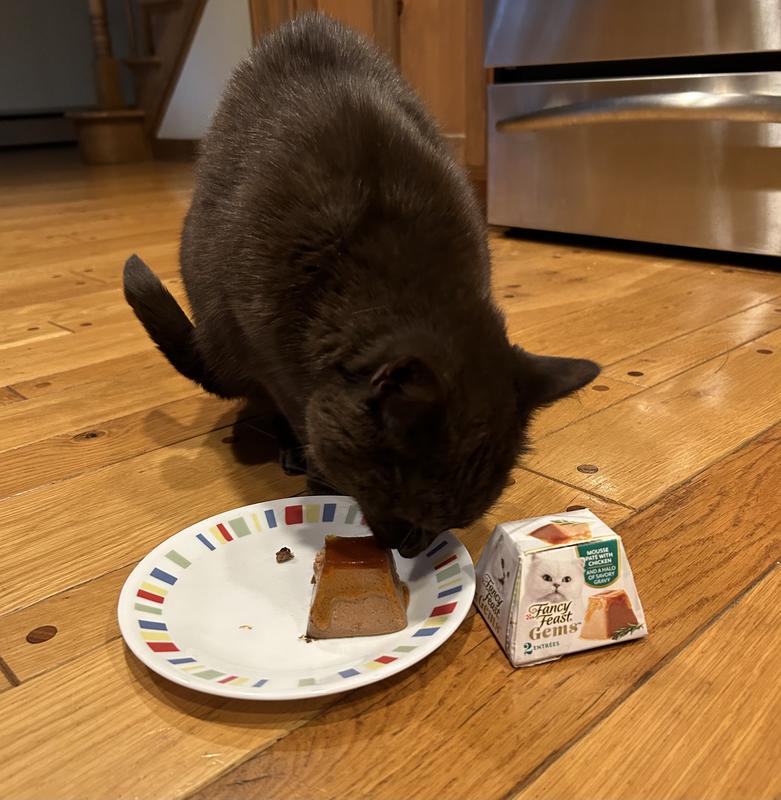 FANCY FEAST Gems Mousse Chicken & a Halo of Savory Gravy Pate Wet Cat ...